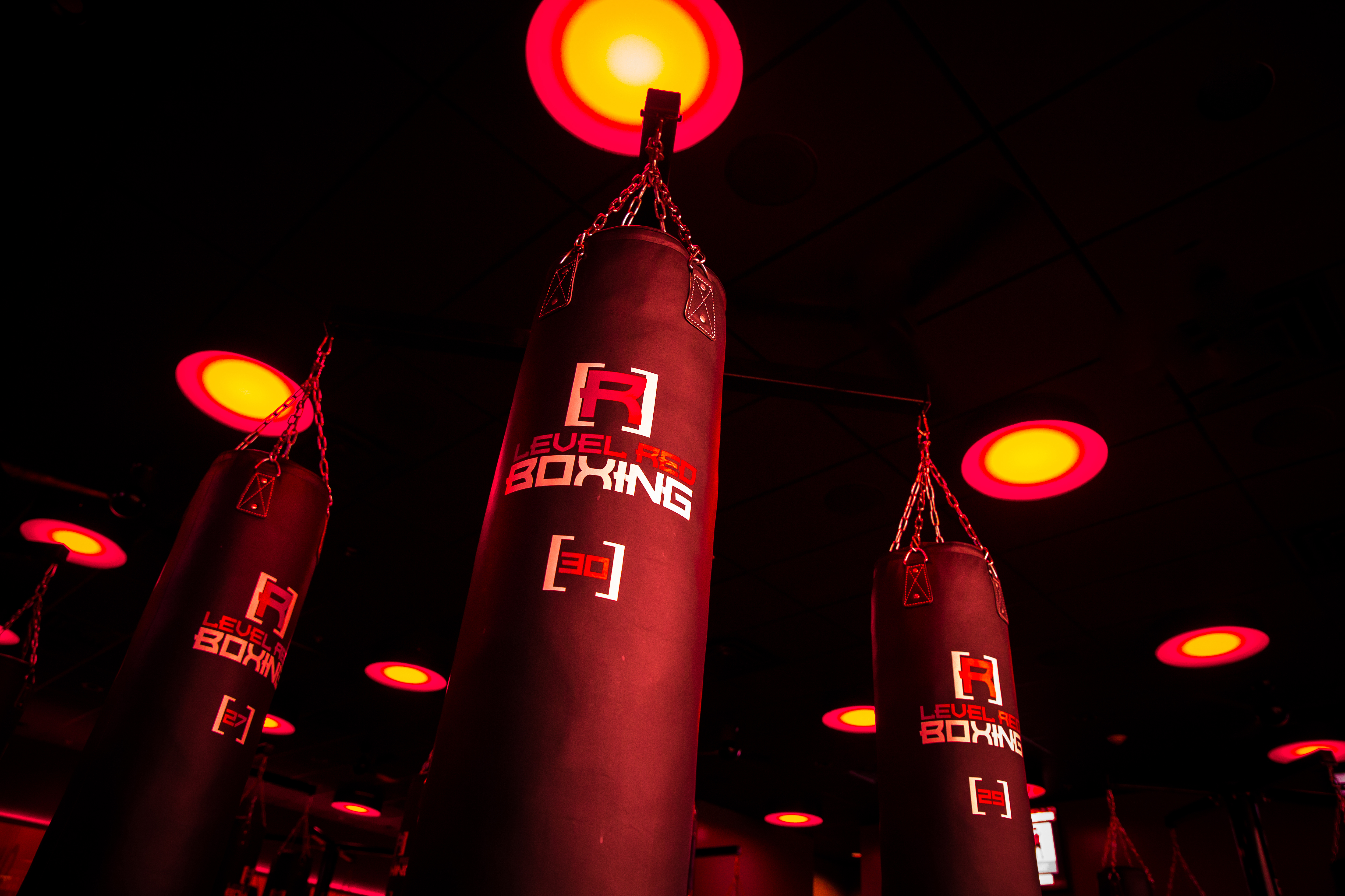 Level Red Boxing Franchise