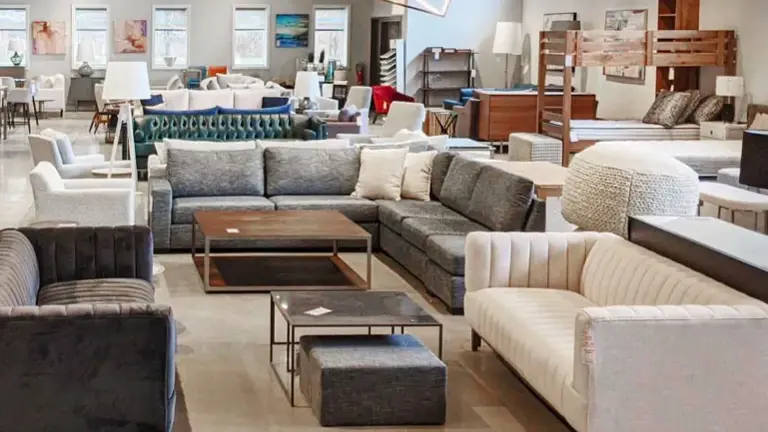 Furniture Store | Owner Retired Financing available with 50% Down in ...