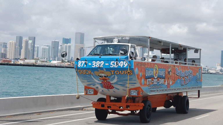 #1 South Beach Guided Tours in Miami Beach, Florida - BizBuySell