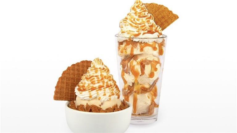 Premier Ice Cream Shop in the Galleria Area in Houston, Texas - BizBuySell