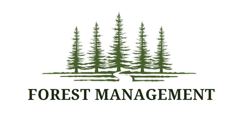 Forest Management Company in Polk County, Oregon - BizBuySell