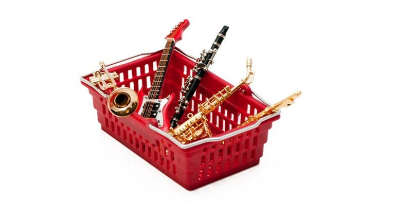 Established Band Instrument Music Store in NW Chicago Suburb in Cook ...