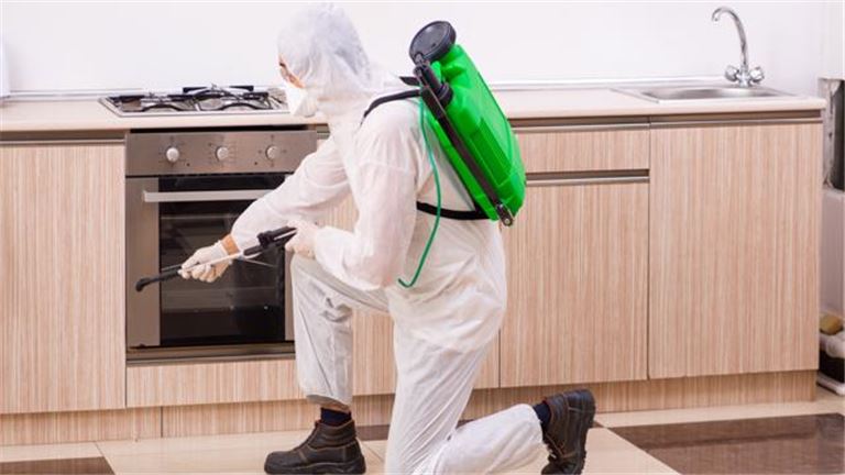 Turn Key Pest Control Opportunity in New Castle County, Delaware ...