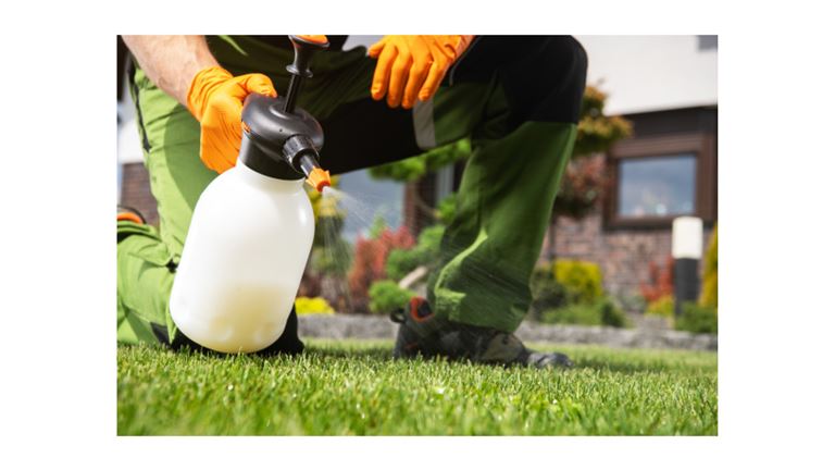 Long-Standing, Reputable, Noxious Weed Control Business in Denver, Colorado - BizBuySell