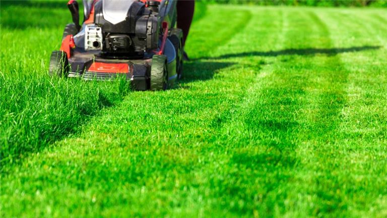 Profitable Landscaping Business with Strong Reputation and Growth in ...