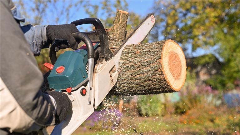 Established Suffolk County Tree Service Business For Sale in Nassau ...