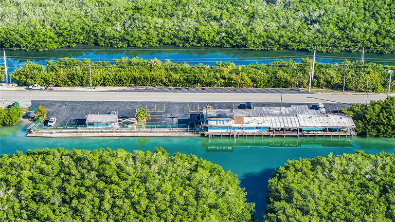 World Famous Alabama Jacks in Key Largo, Florida - BizBuySell