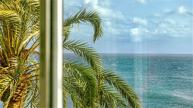 SWFL Window Film Business - 15003 in Pasco County, Florida - BizBuySell