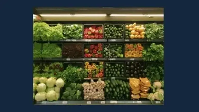 Farmers Market Style Store- Ideal Location! in Linden, New Jersey ...
