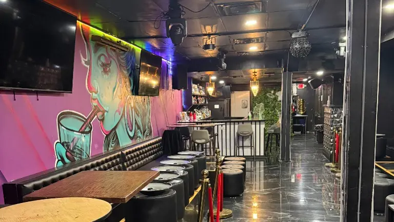 Turnkey Newly Renovated Stylish Nightclub/Lounge in Silver Spring ...