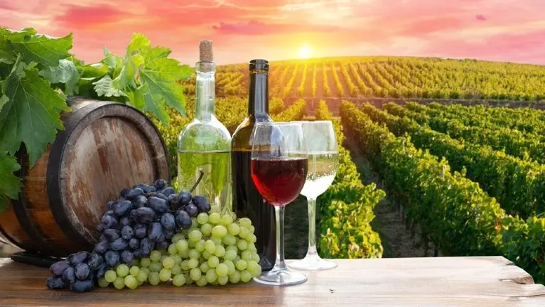 Established Wine Importer & Distributor with a Curated Intl Portfolio ...
