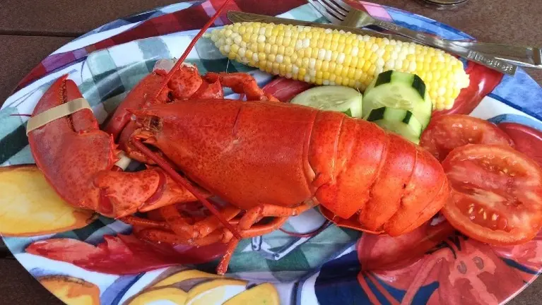 Off Premise, Full-Service Summer Oriented Catering Business in ...